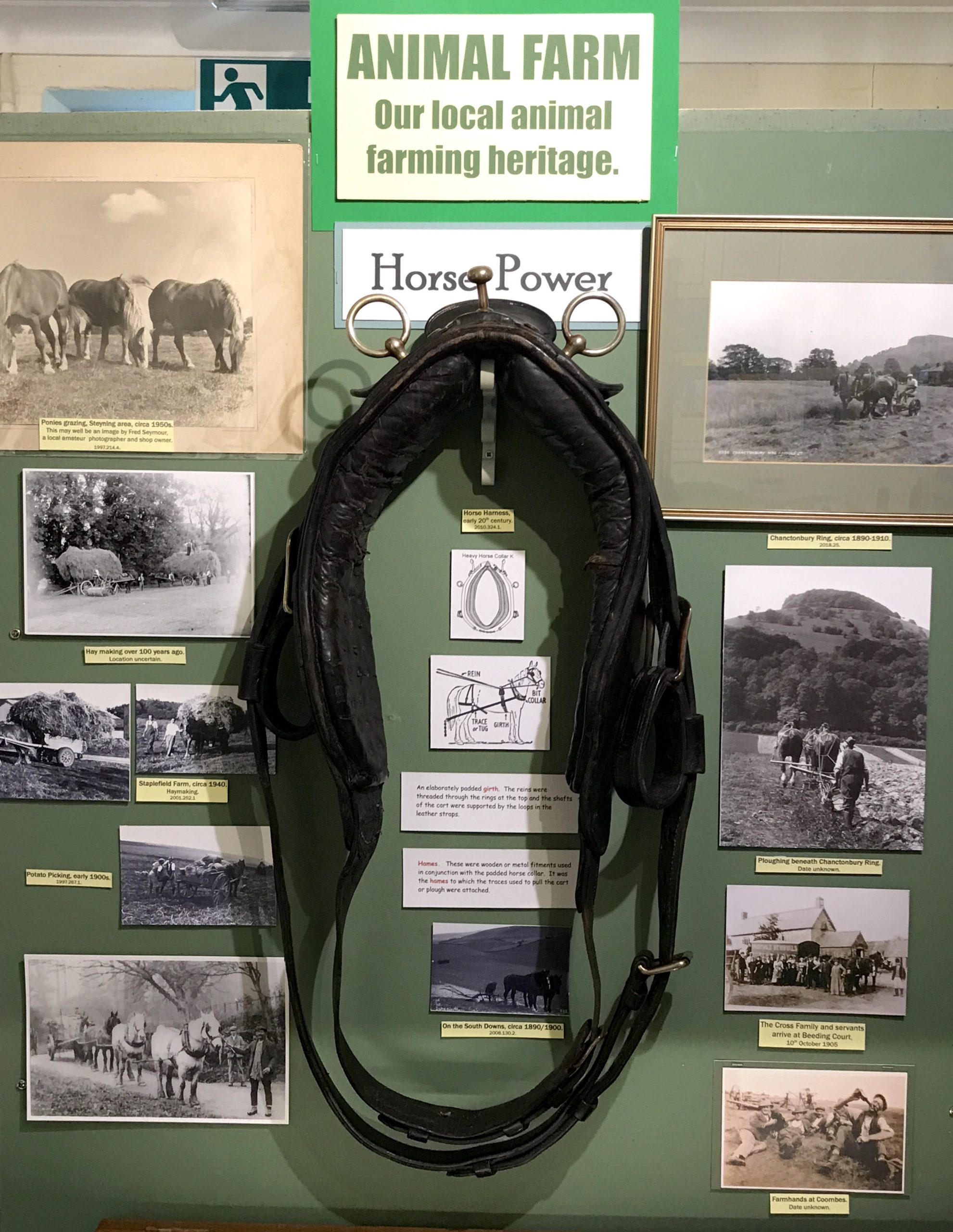 Current Exhibitions – Steyning Museum Trust